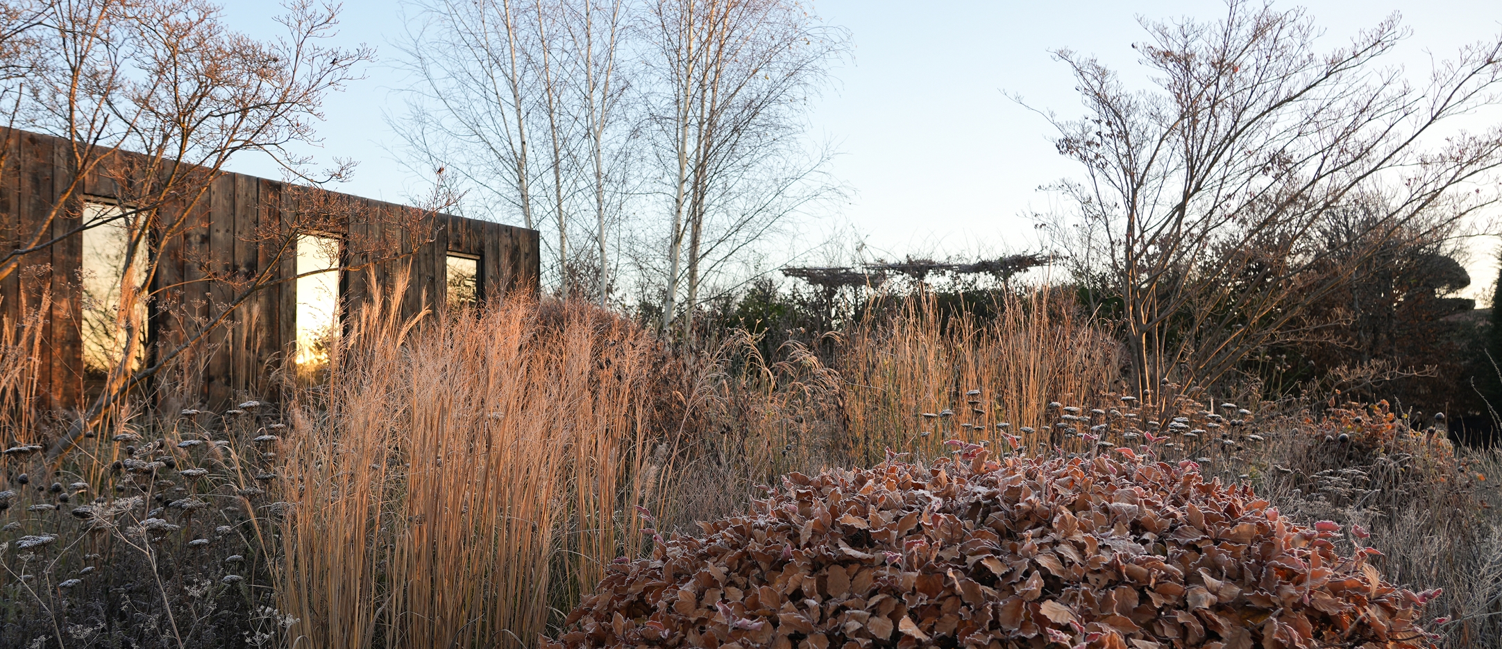 The Surrey Nursery & Showroom Experience | Form Plants